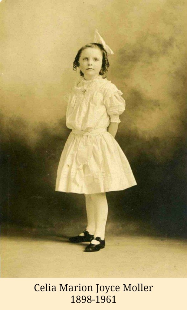 Linda Claire Hess Groshans | telling life stories